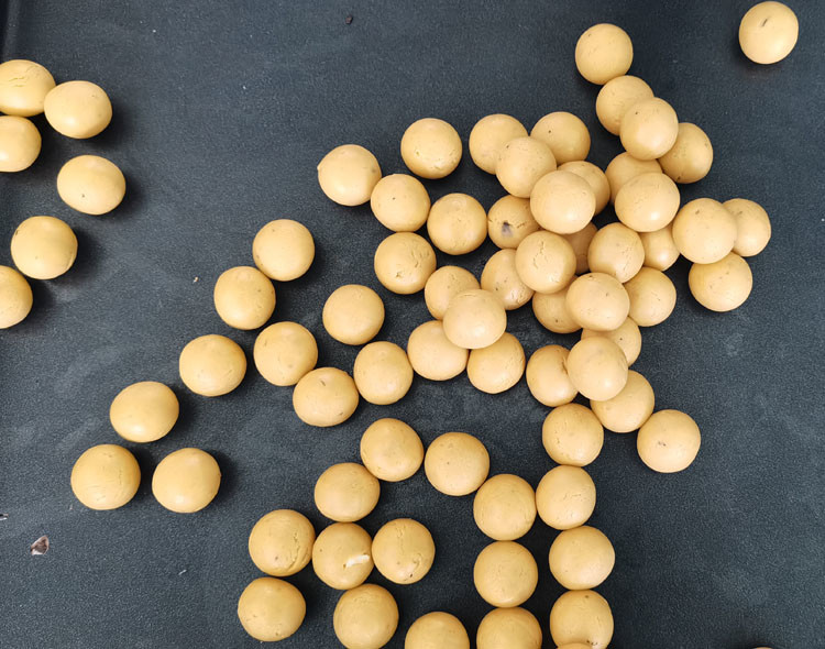 Small cookie dough ball machine is successfully tested and ready for ...