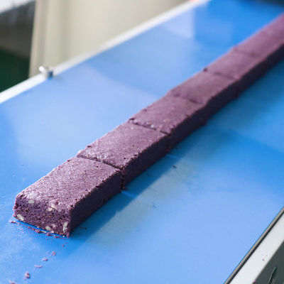 P307 Horizontal Small Protein Bar Extruder Machine